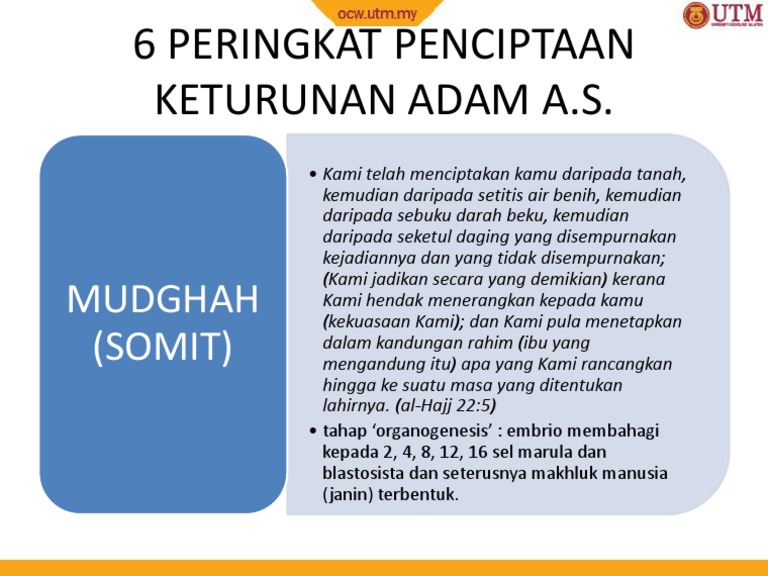 MUDGHAH | PDF