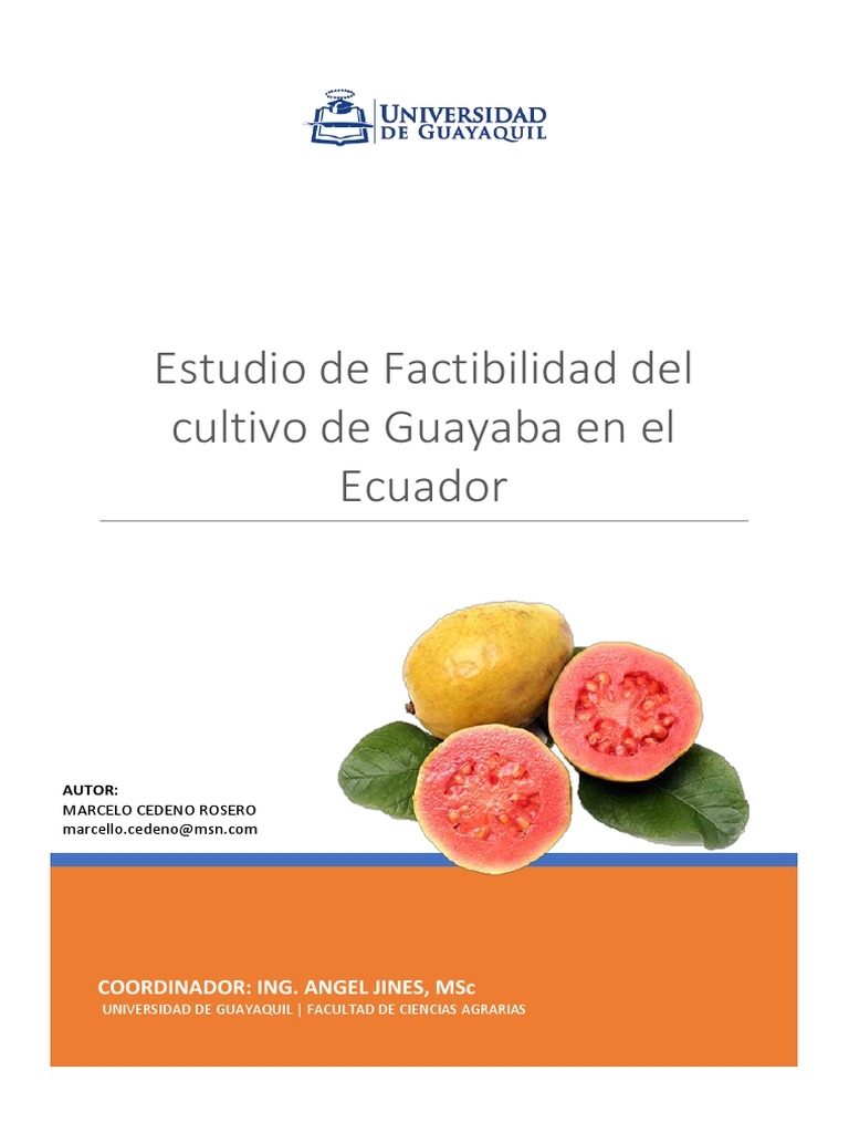 Factibilidad Del Cultivo de Guayaba en El Ecuador | PDF | Flores | Fruta