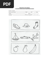Manual Del Test de Boehm | PDF