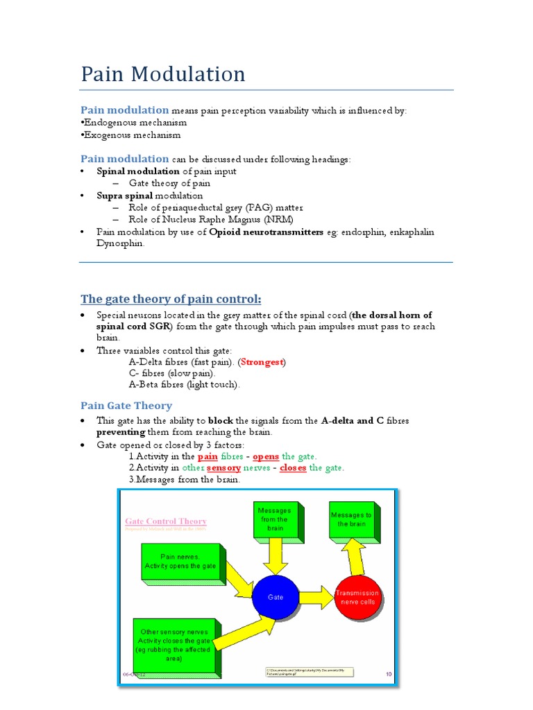 Pain Modulation | PDF | Pain | Nervous System