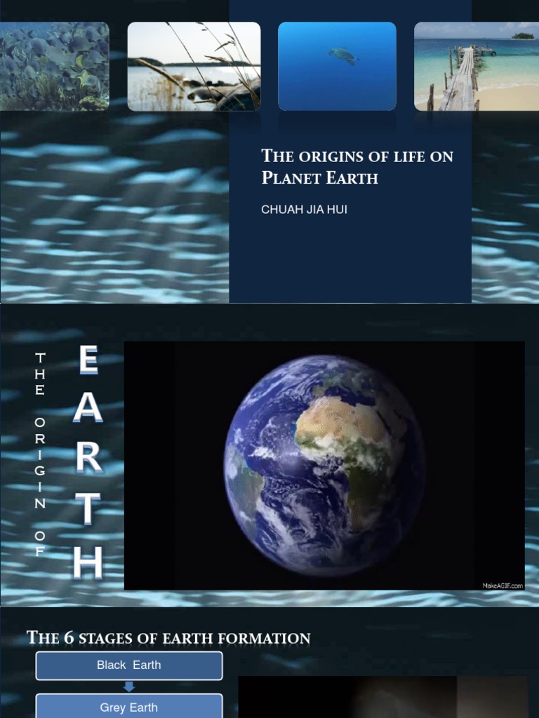 Theories on Earth's Origin of Life | PDF | Abiogenesis | Hydrothermal Vent