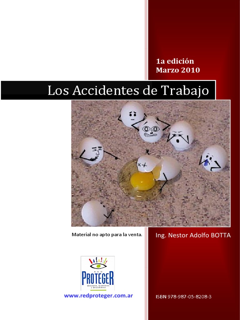 Piramide de Bird PDF | PDF