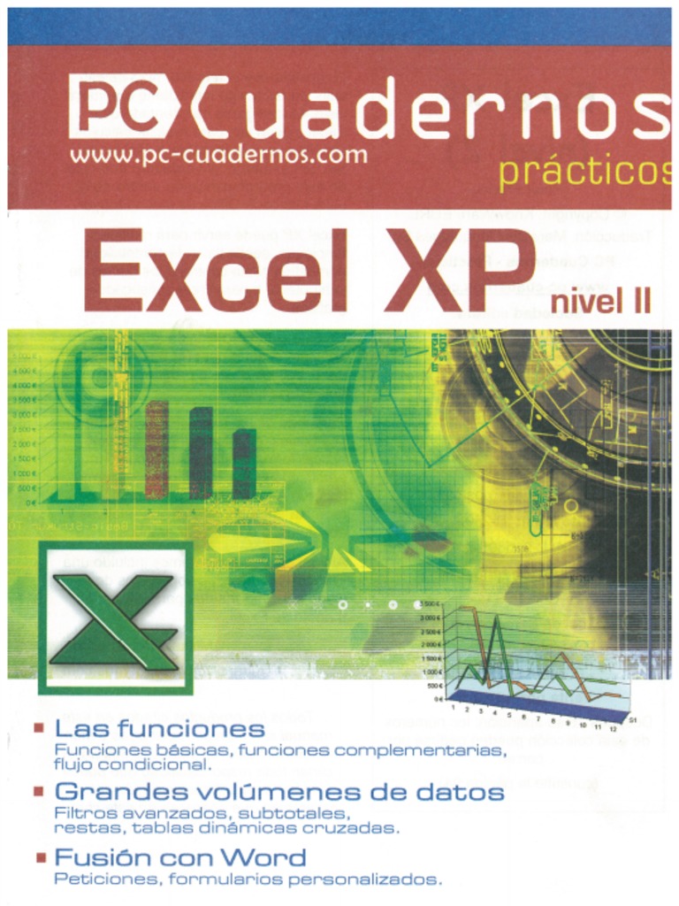 Cuaderno Excel | PDF
