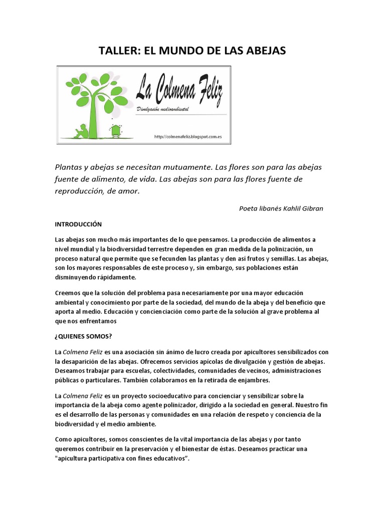 Taller El Mundo de Las Abejas 2016-17 | PDF | Apicultura | Abejas