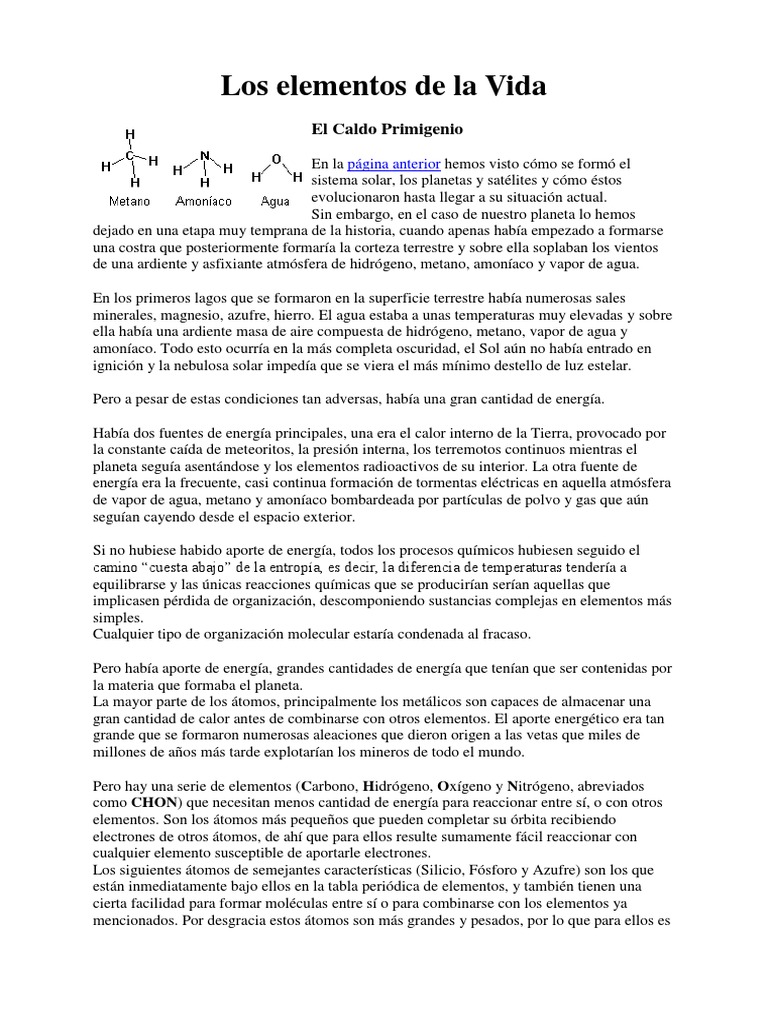 El origen de la vida en la Tierra: La formación del caldo primigenio y ...