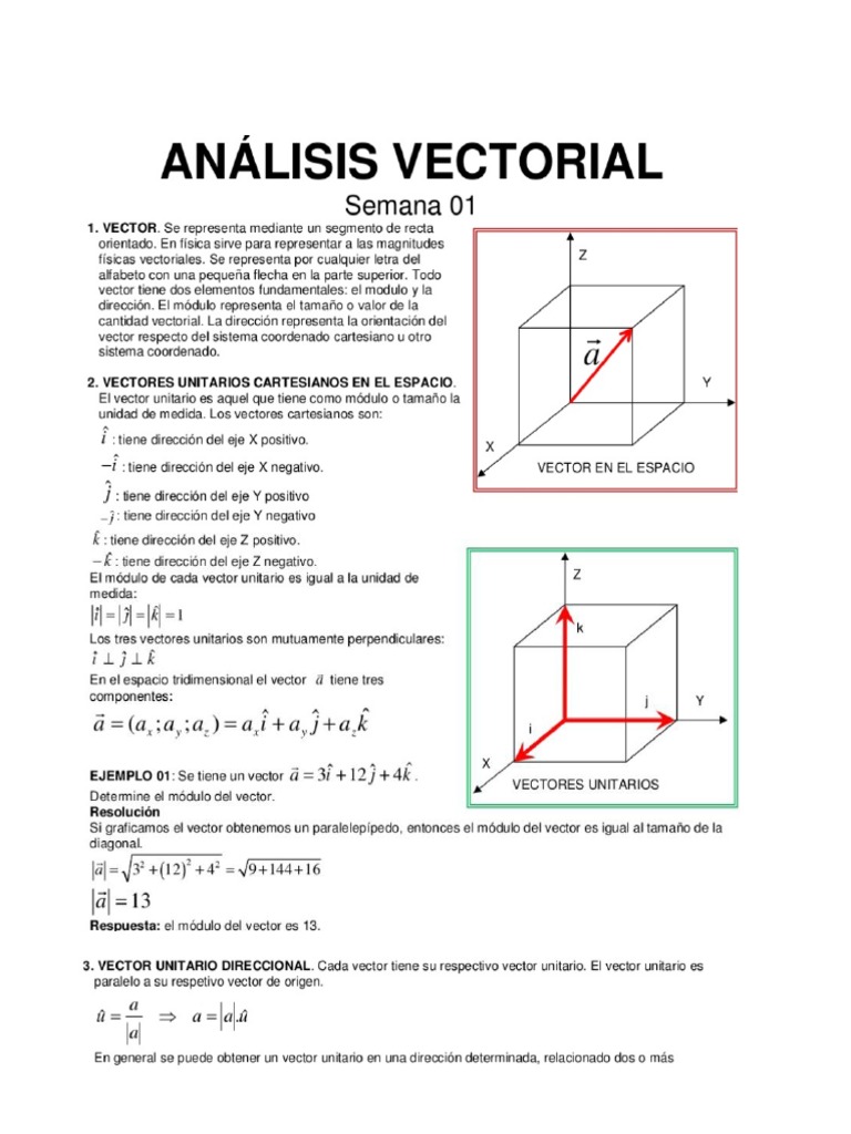 Guía De Vectores Pdf