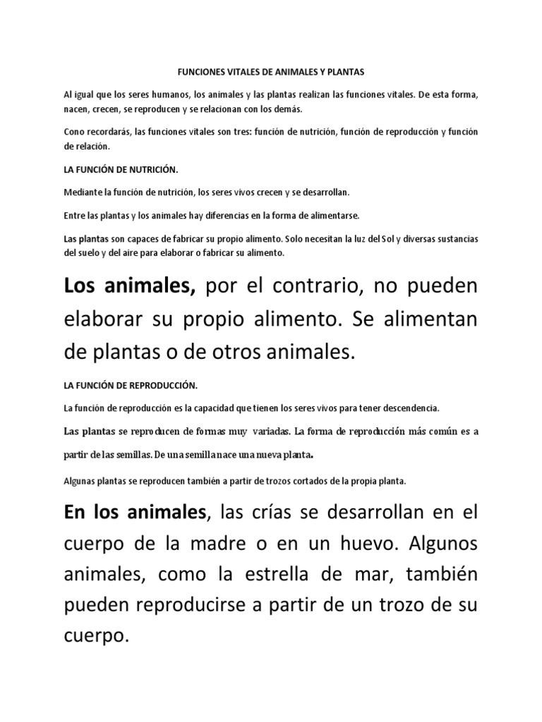 Funciones Vitales de Plantas y Animales | PDF | Fotosíntesis | Glucosa