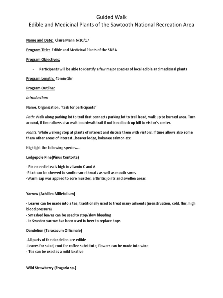 Guided Walk Plants | PDF | Willow | Pine