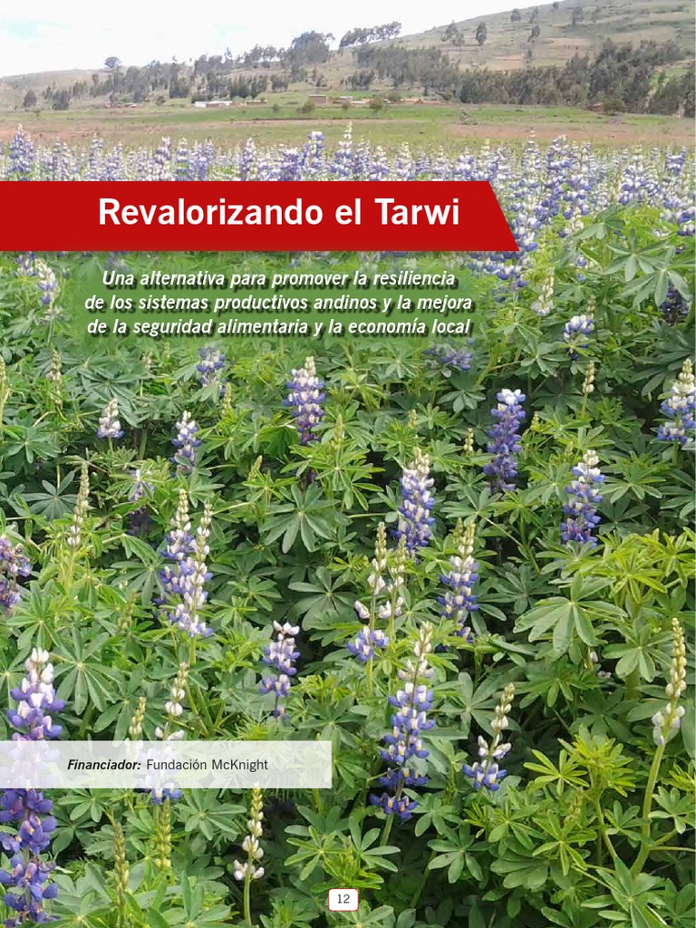 Tarwi | PDF | Guisante | Agricultura