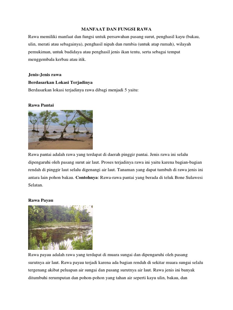Manfaat Dan Fungsi Rawa | PDF