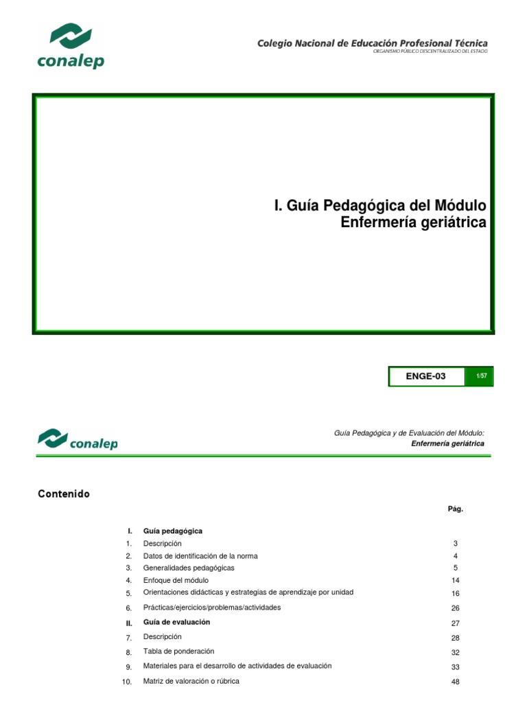 Guia Pedag Enfermeria Geriatrica | PDF | Aprendizaje | Evaluación