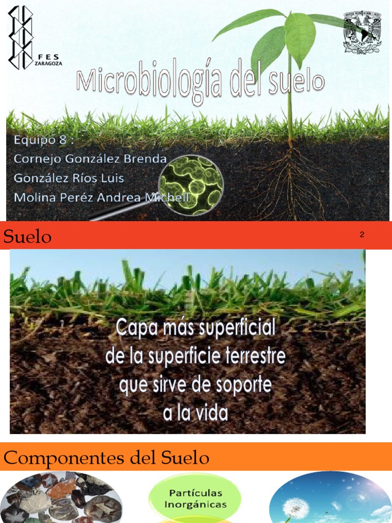 Microorganismos y Patógenos del Suelo | PDF | Microbiología | Biología