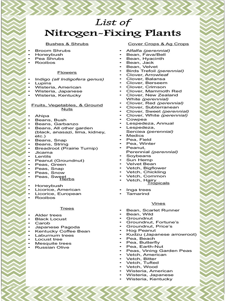 List of Nitrogen Fixing Plants | PDF | Nitrogen | Organisms