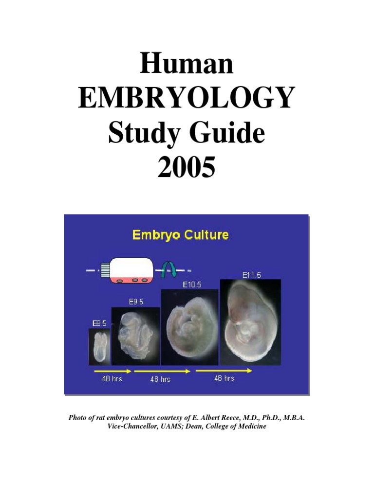 Human Embryology Study Guide 2005 | PDF | Cellular Differentiation ...