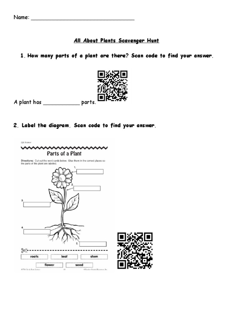 Plant QR Scavenger | PDF