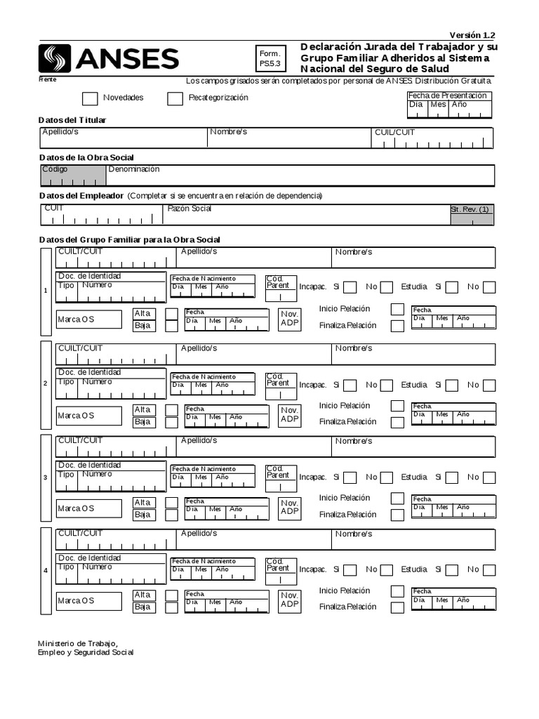 Anses Formulario 5 3 Obra Social