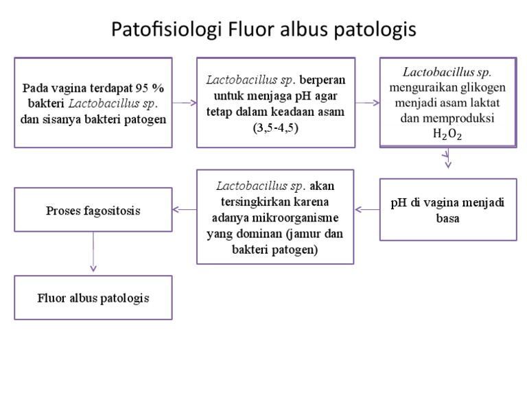 Patofisiologi Fluor Albus Patologis | PDF