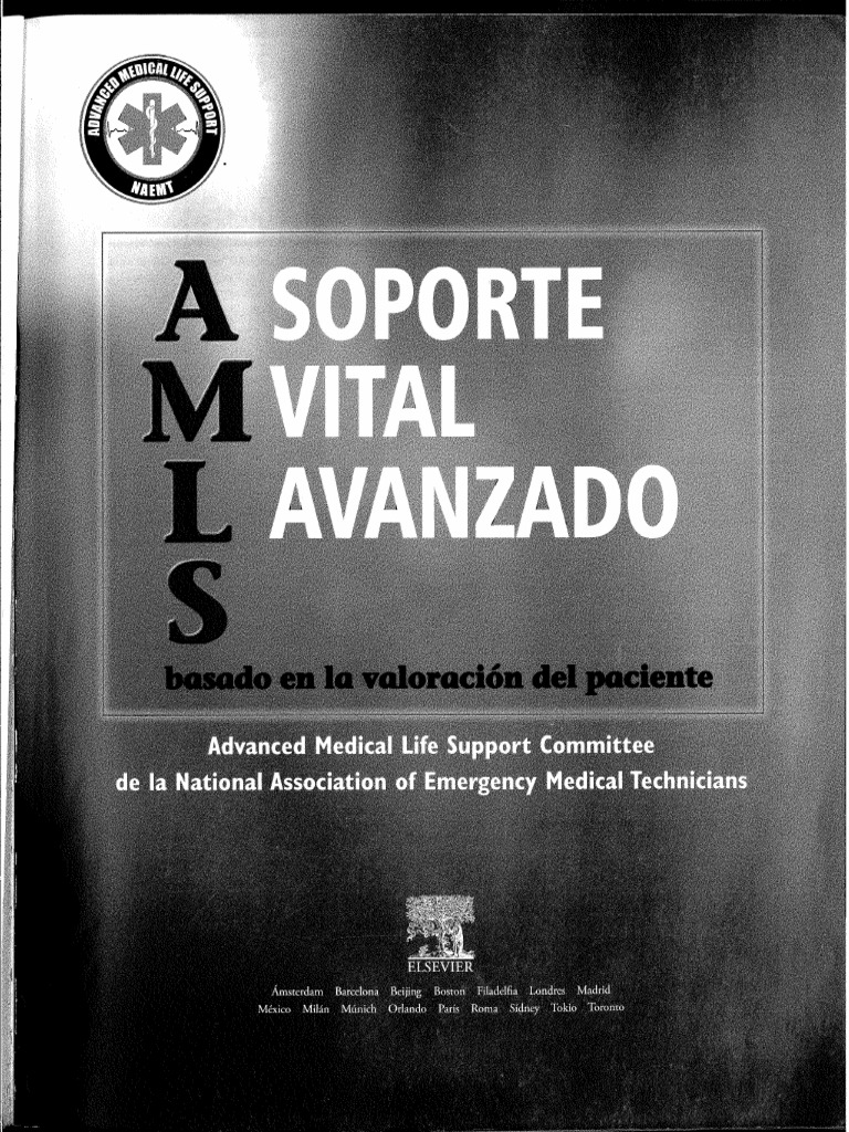 AMLS | PDF