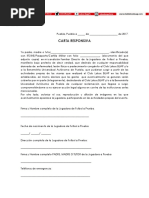 Carta Responsiva de Menor de Edad | PDF | Invalidez | Menor (ley)