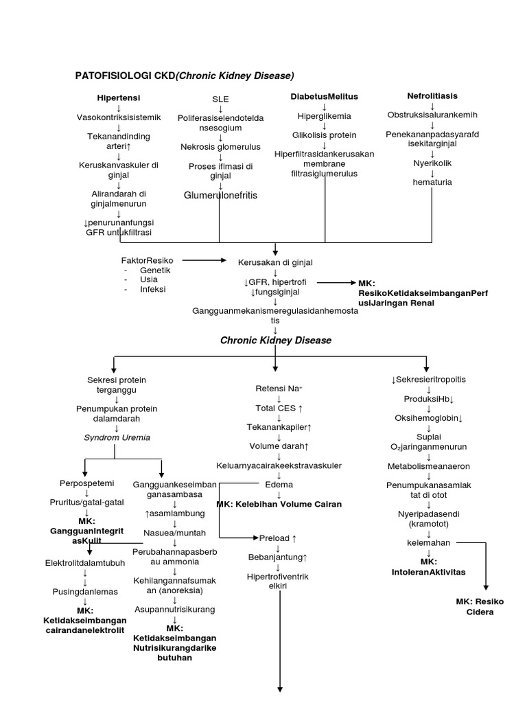 Patofisiologi CKD New | PDF