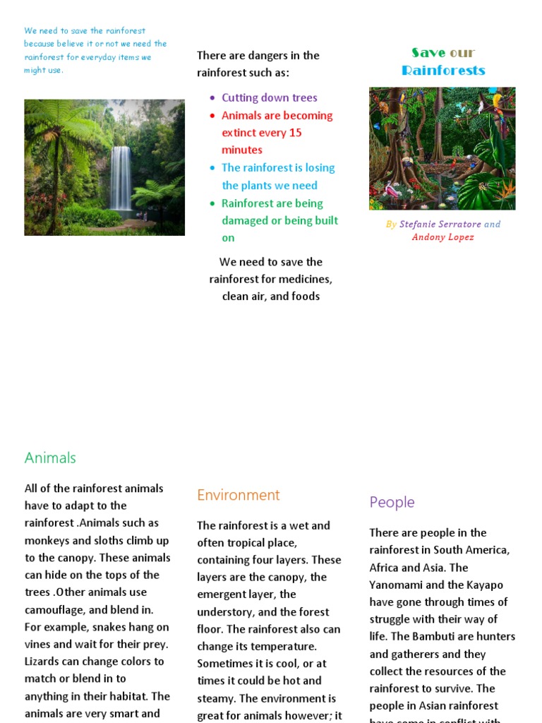 Tropical Rainforest Biome Brochure Examples Rainforest DAFF