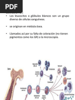 Células de la Línea Mieloide: Origen y Funciones | PDF | Macrófago ...