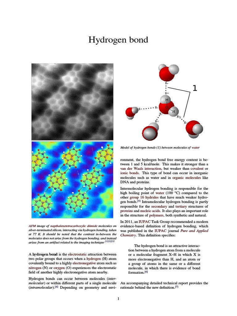 Hydrogen Bond Basics | PDF | Hydrogen Bond | Chemical Bond