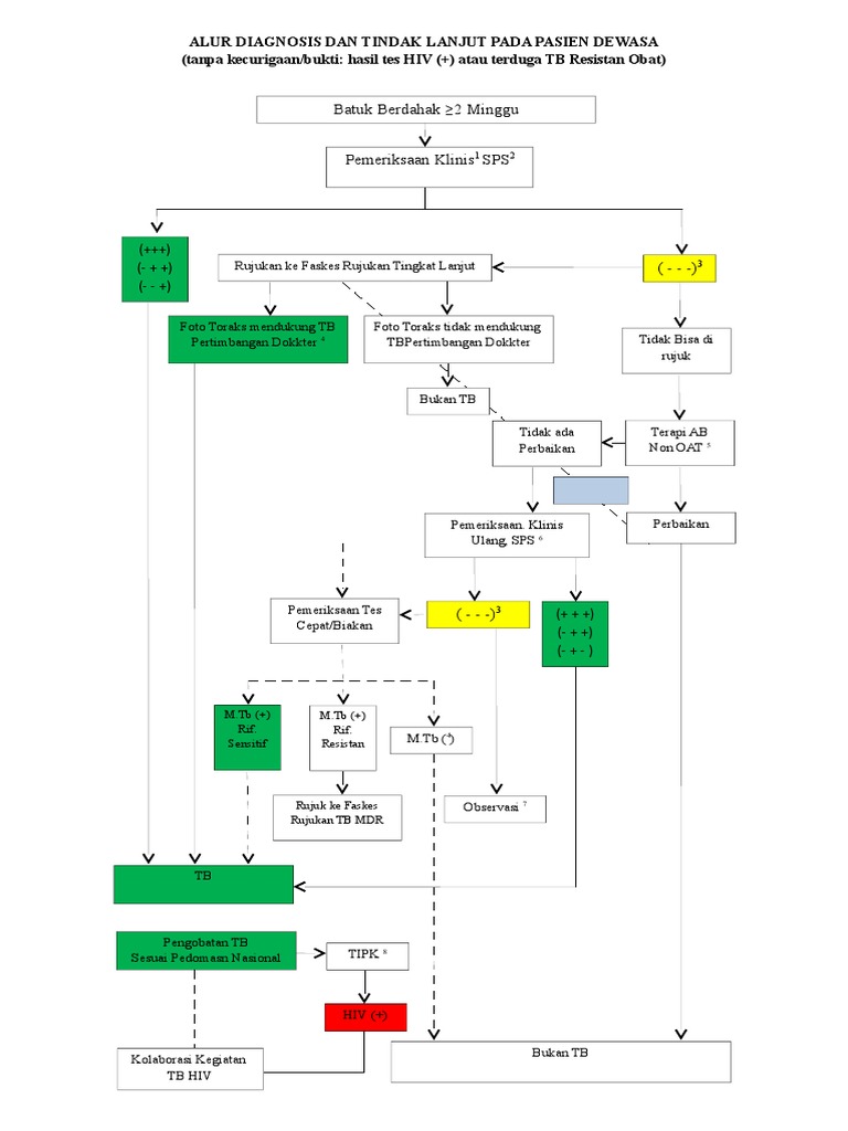 Alur Diagnosis dan Tindak Lanjut TB Dewasa | PDF