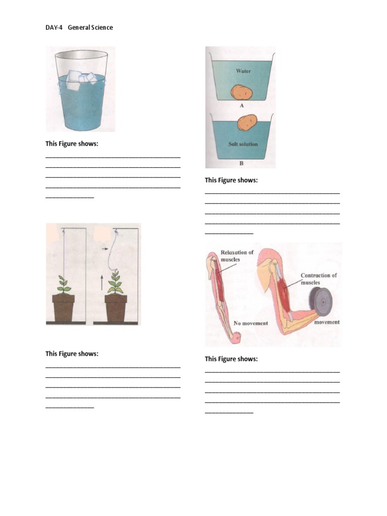 DAY-4 General Science | PDF