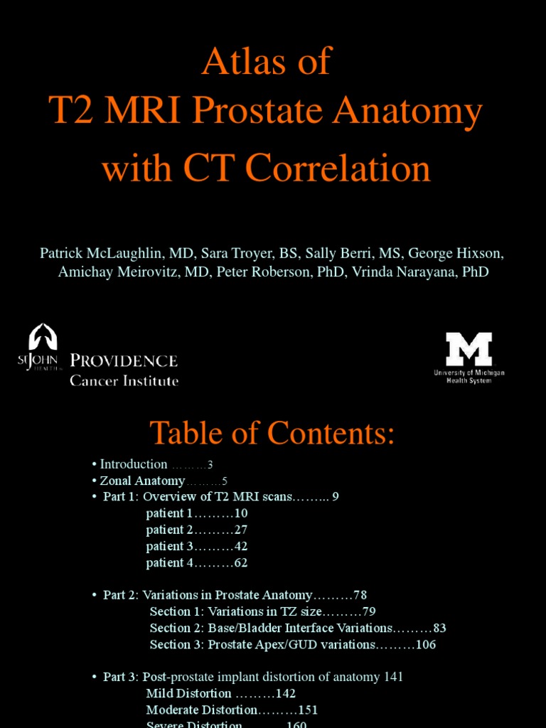 Prostate Atlas V3 | PDF | Prostate | Rectum