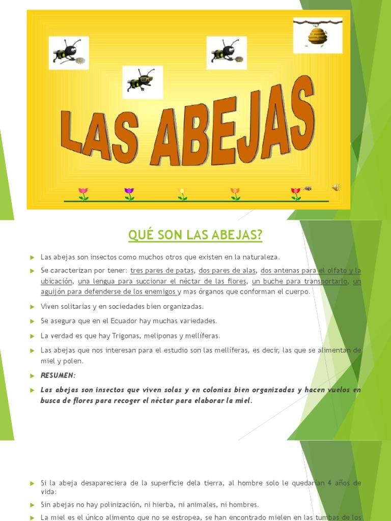 3 Las Abejas | PDF | Western Honey Bee | Abejas