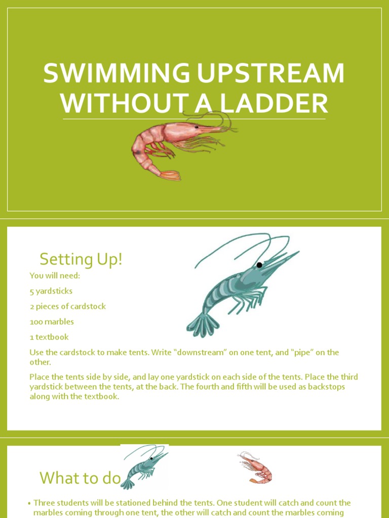Shrimp | PDF | Home & Garden