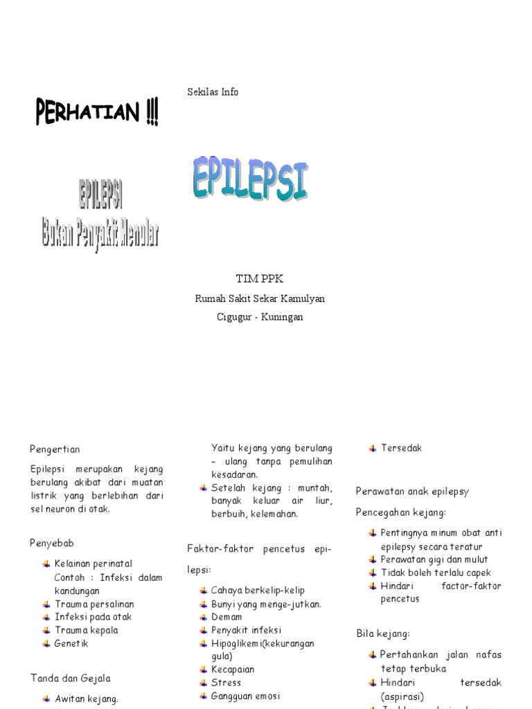LEAFLET Epilepsi | PDF