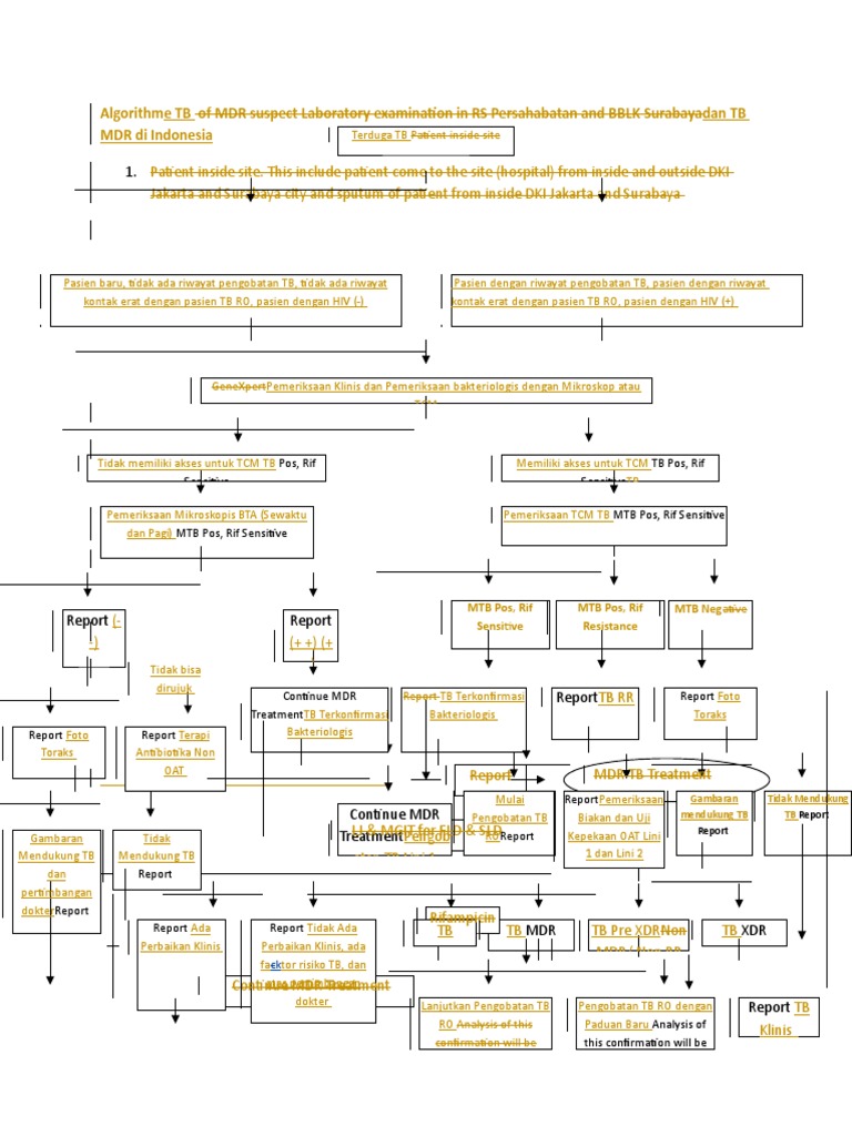 Algoritma Diagnosis dan Terapi TB MDR | PDF | Mikrobiologi | Antibiotik