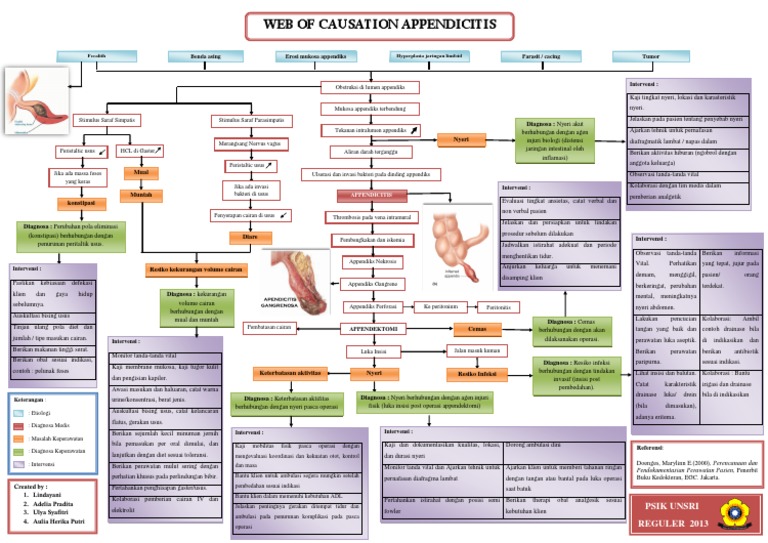 Woc Appendicitis | PDF
