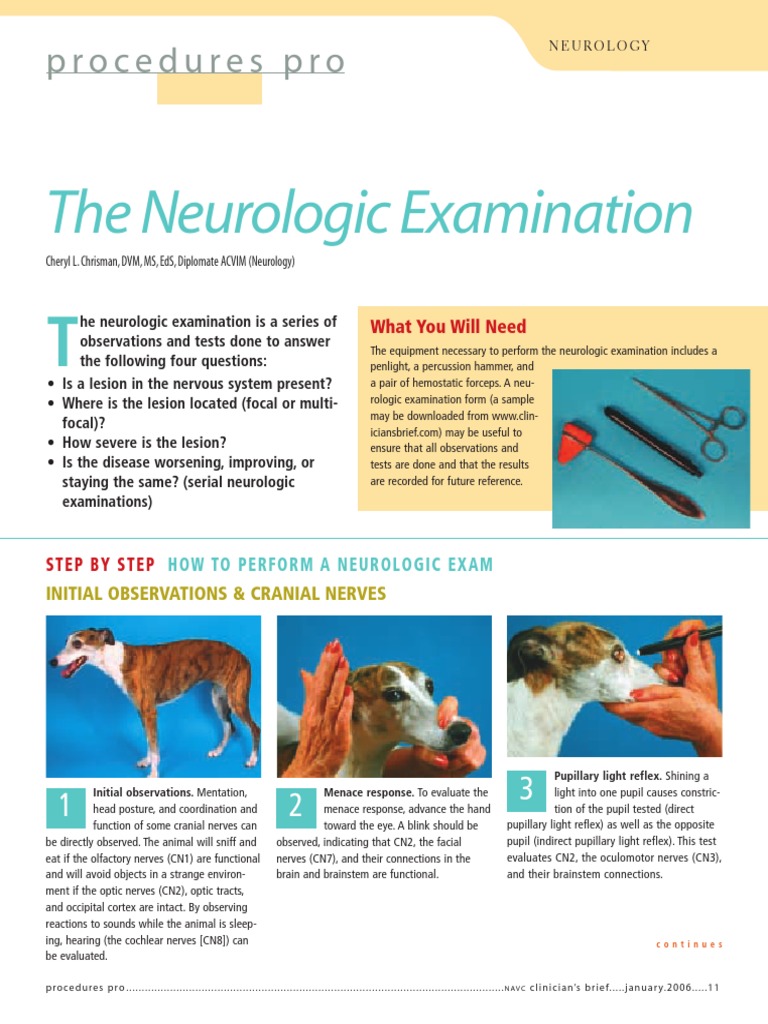 Neurological examination.pdf | Finger | Anatomical Terms Of Motion