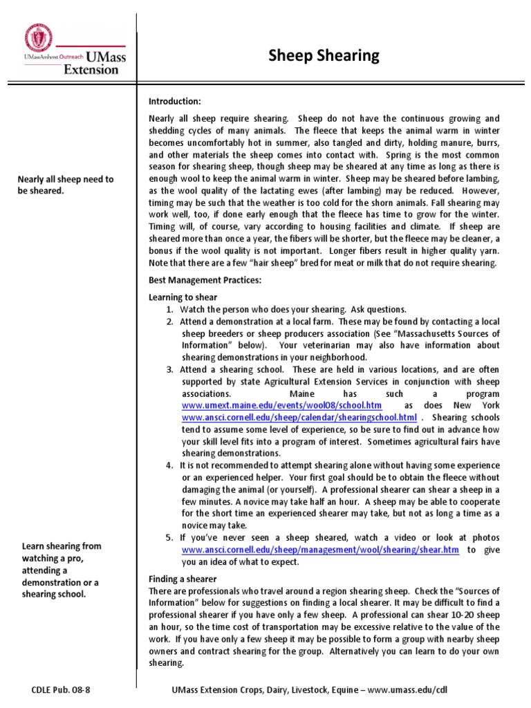 Best Practices for Sheep Shearing: Learning Proper Techniques, Finding ...