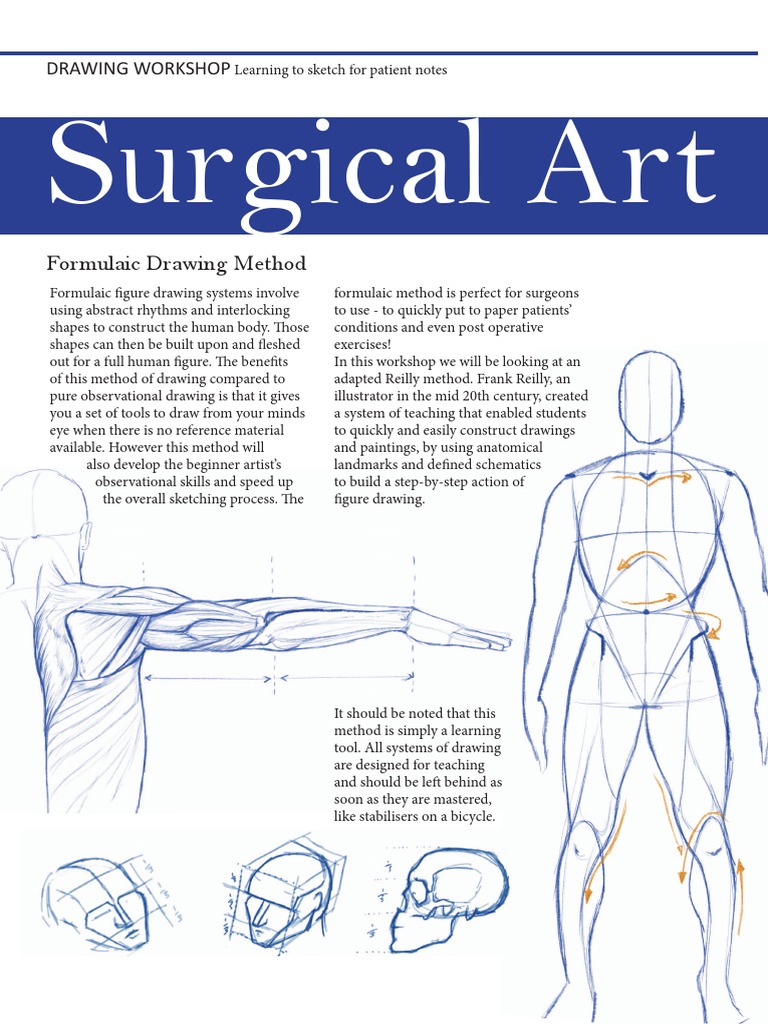 Drawing Anatomy For Surgeons PDF | PDF