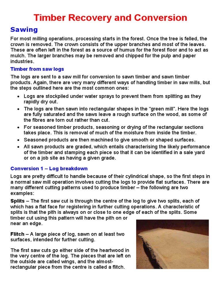 Conversion of Timber | PDF | Lumber | Logging