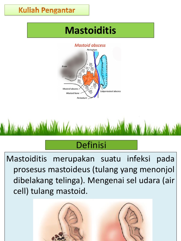 PP THT Mastoiditis | PDF | Politik