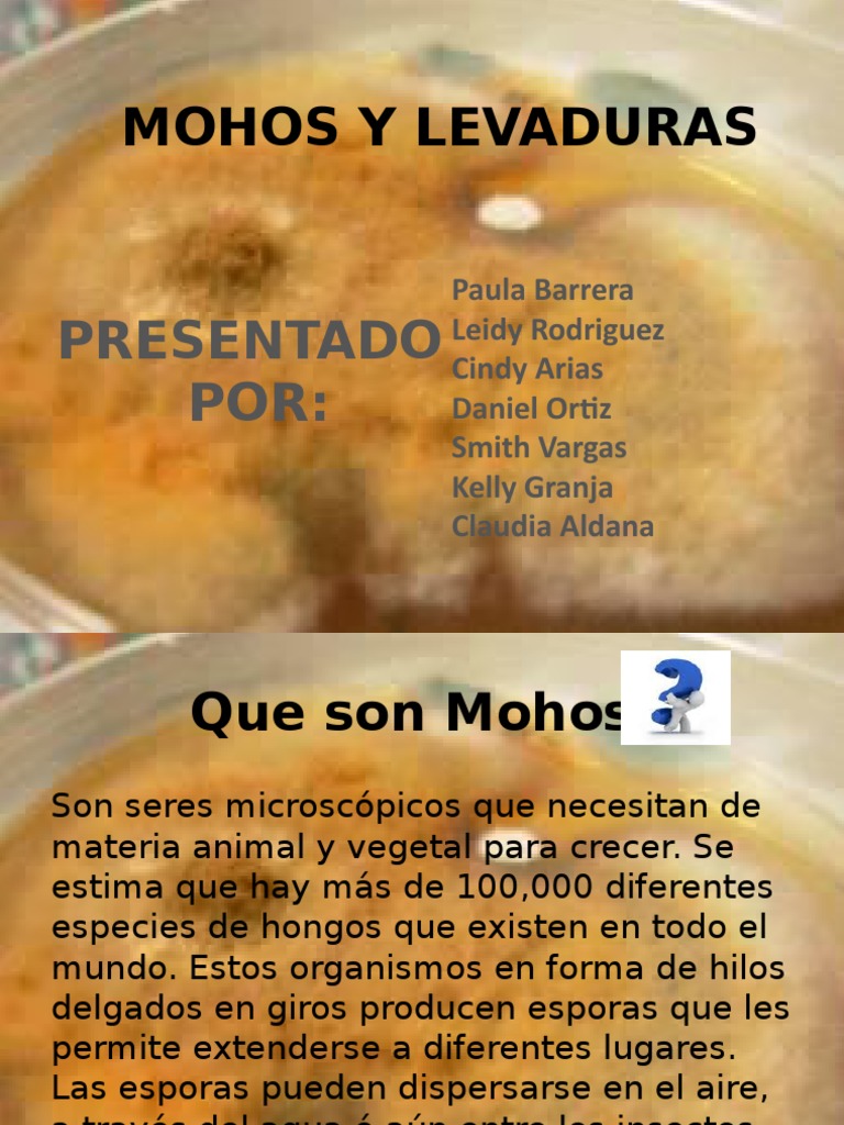 Análisis completo de los mohos y levaduras: tipos, características, reproducción y clasificación ...