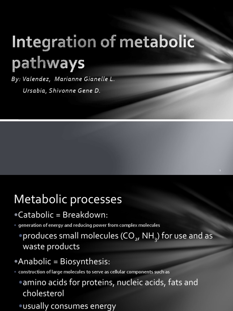 Major Metabolic Pathways | PDF | Glycolysis | Metabolic Pathway