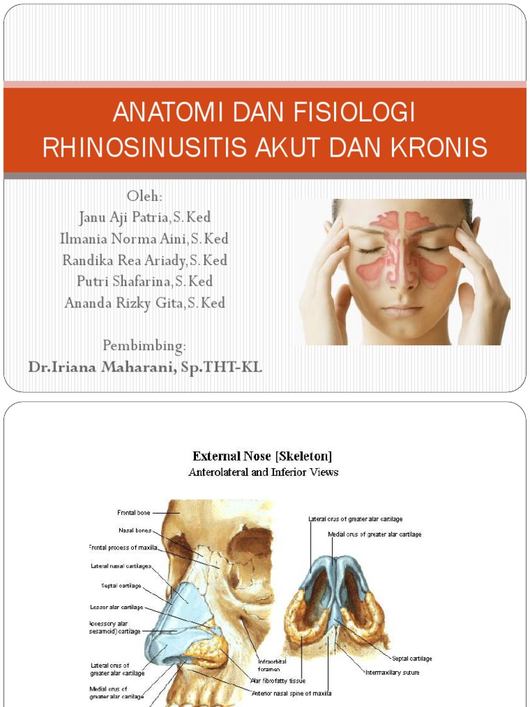 Anatomi Dan Fisiologi Rhinosinusitis Akut Dan Kronis | PDF