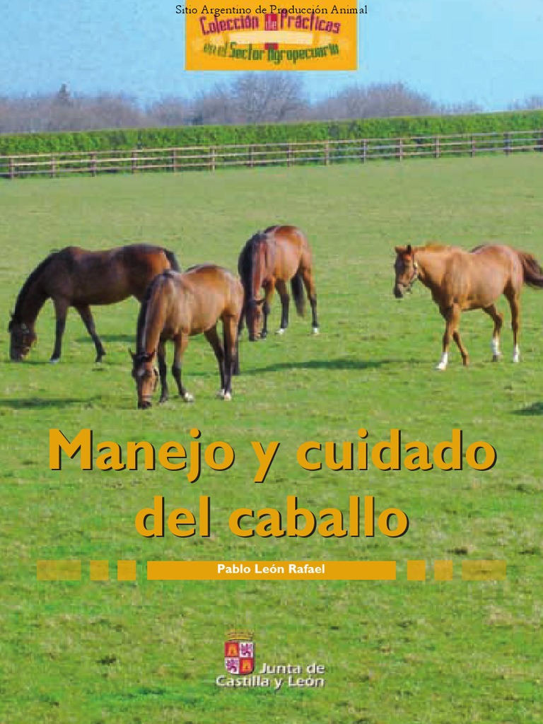 Manejo y Cuidados Del Caballo | PDF | Rodilla | Caballos