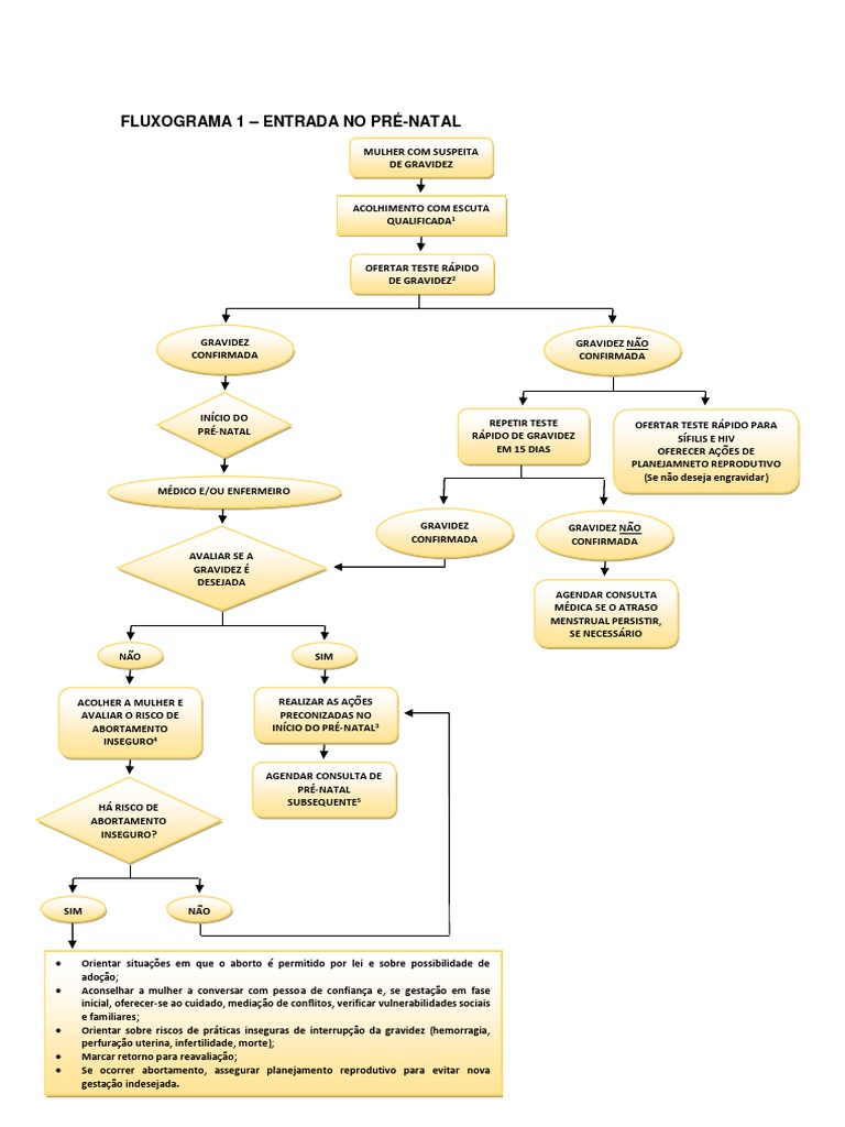 Atencao A Saude Da Mulher No Pre-Natal Puerperio e Cuidados Ao Recem-Nascido - Fluxogramas | PDF ...