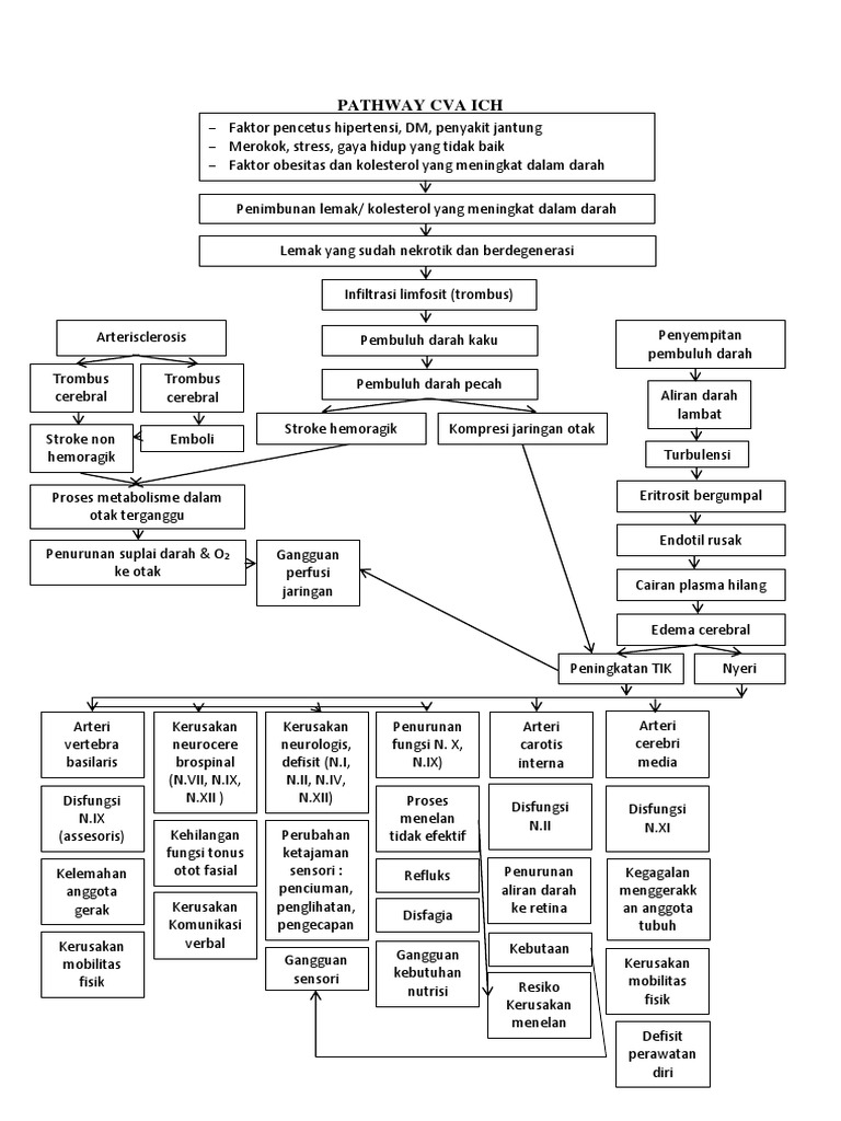 Pathway Cva Ic | PDF