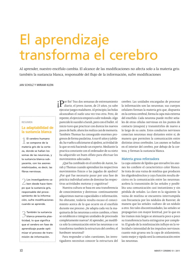 El Aprendizaje Transforma El Cerebro Pdf Pdf Axon Mielina