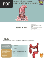 Anatomia Del Recto | PDF