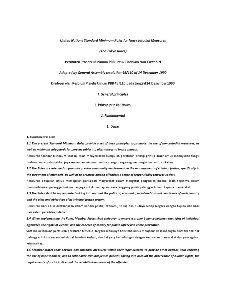 Tokyo Rules Translated | PDF | Kejahatan & Kekerasan | Keseruan Kejahatan