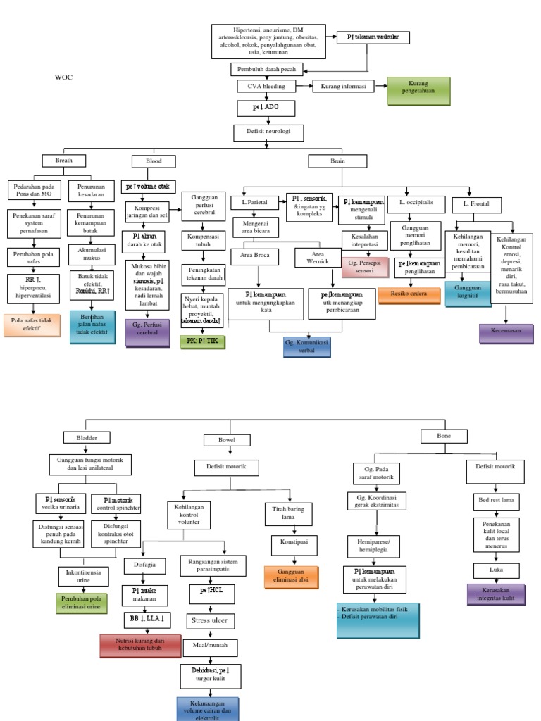 Woc Cva Bleeding New | PDF